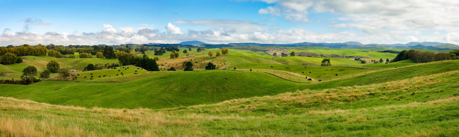 Contact Us - AG Plus